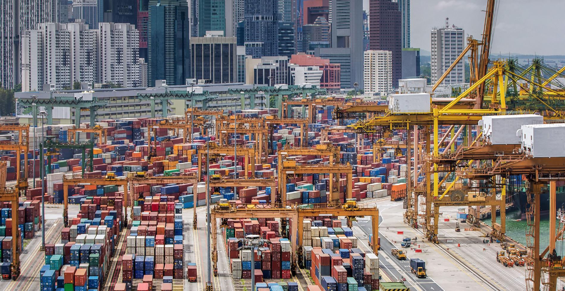 Singapore Port Experiences Severe Congestion Due to Red Sea Avoidance